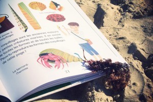 Livres jeunesse « On the beach » ! – Happy City le blog voyage parisien