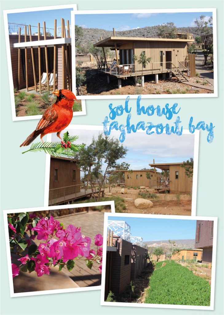 Surf et détente au Sol House Taghazout – Maroc – Happy City le blog ...
